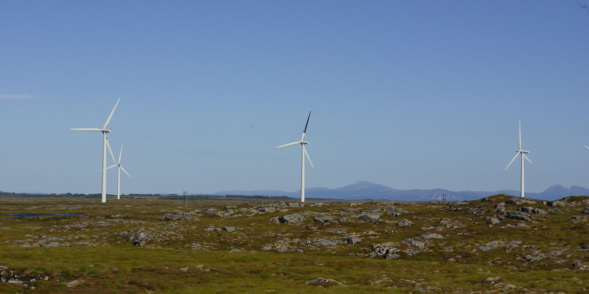 How efficient are mitigation measures for bird-friendly wind power?
